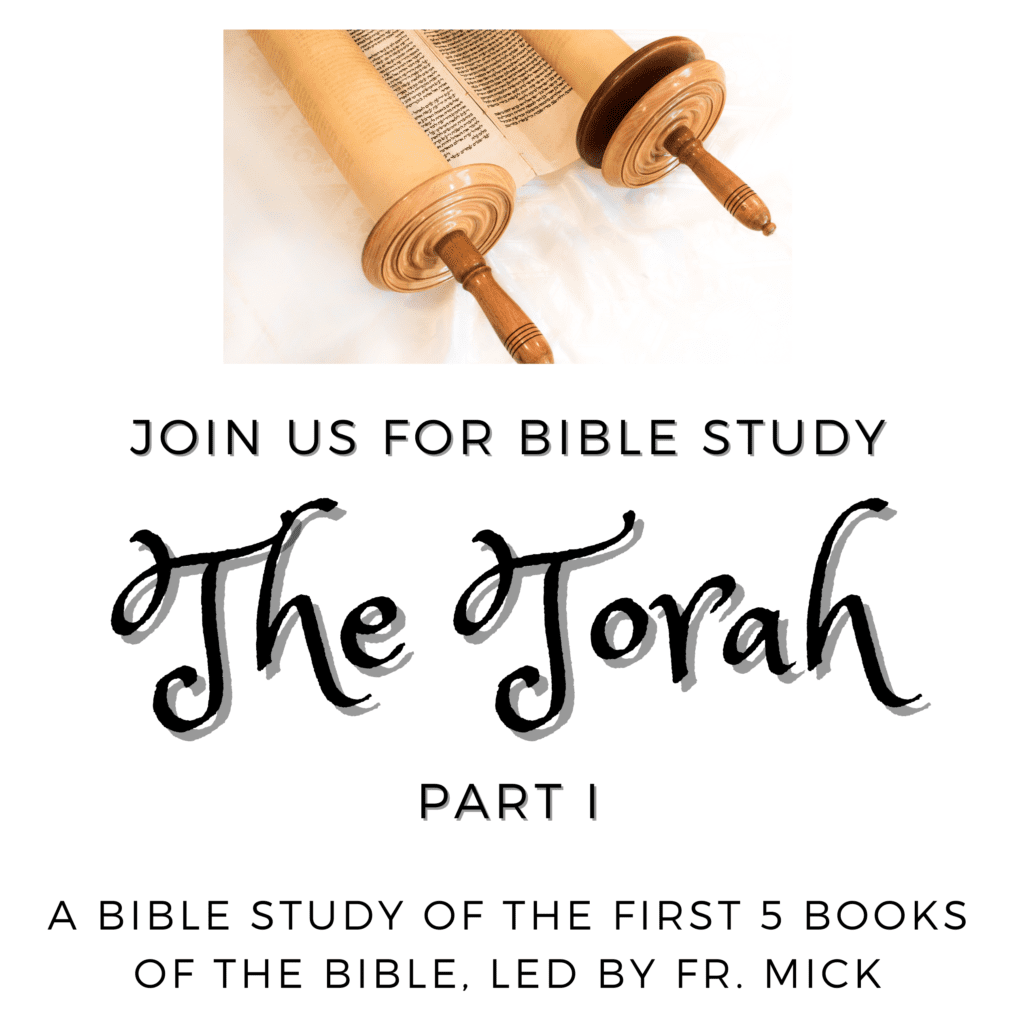 The-Torah-Crop | St. Elizabeth Ann Seton